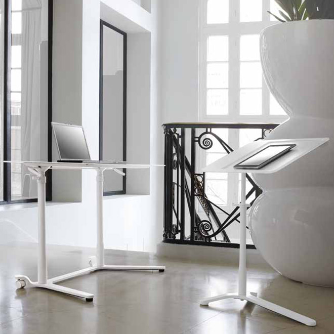 EDDY-MARIA by Haworth - Černelić