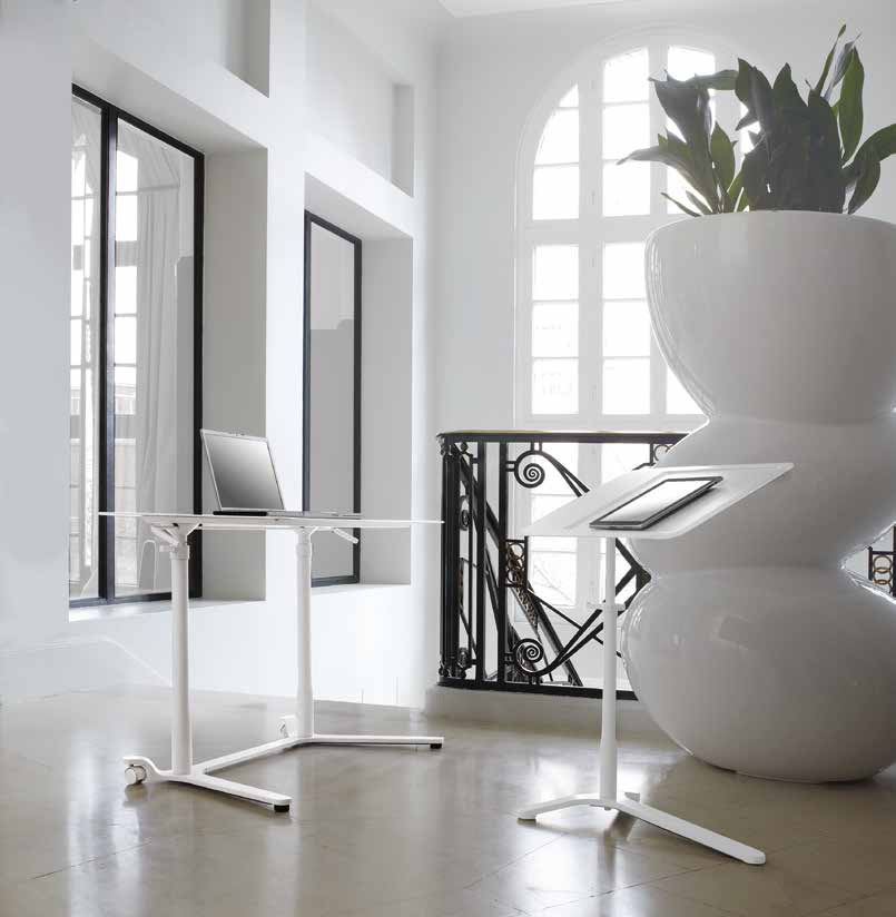 EDDY-MARIA by Haworth - Černelić