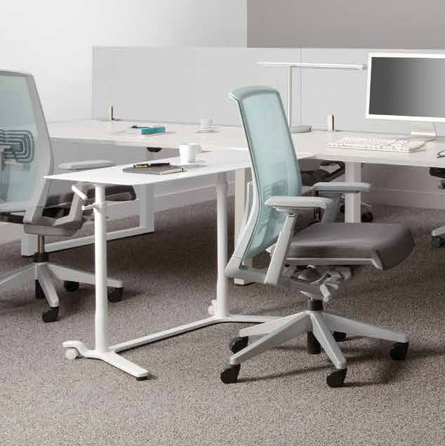 EDDY-MARIA by Haworth - Černelić