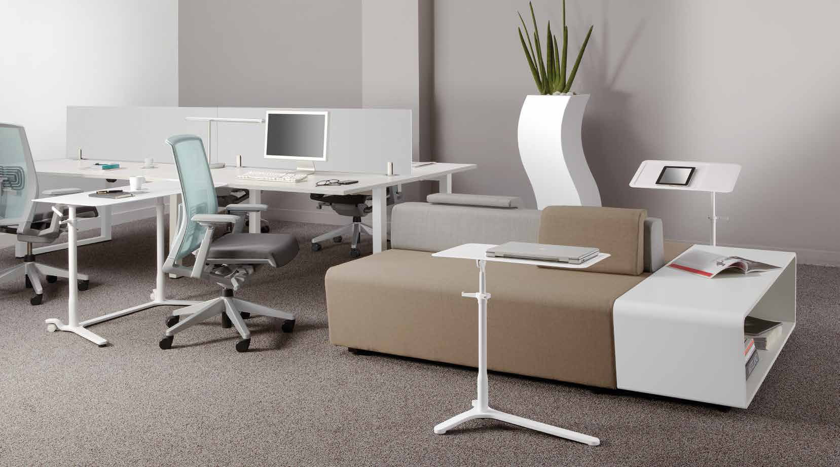 EDDY-MARIA by Haworth - Černelić